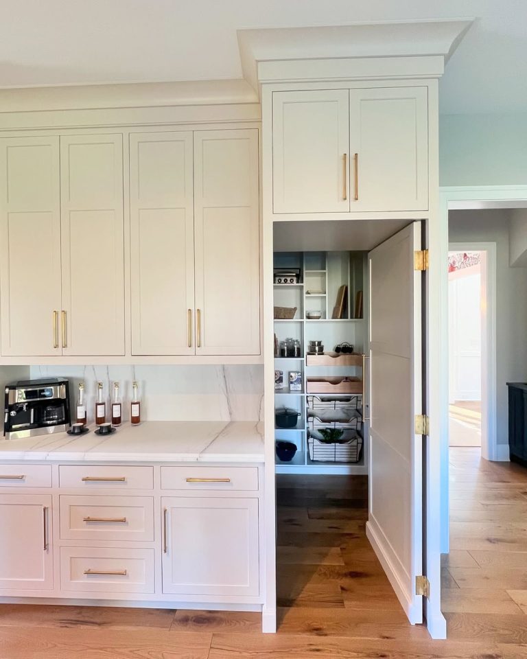 25 Pantry Cabinet Ideas 2025: Stylish and Functional Storage Solutions ...