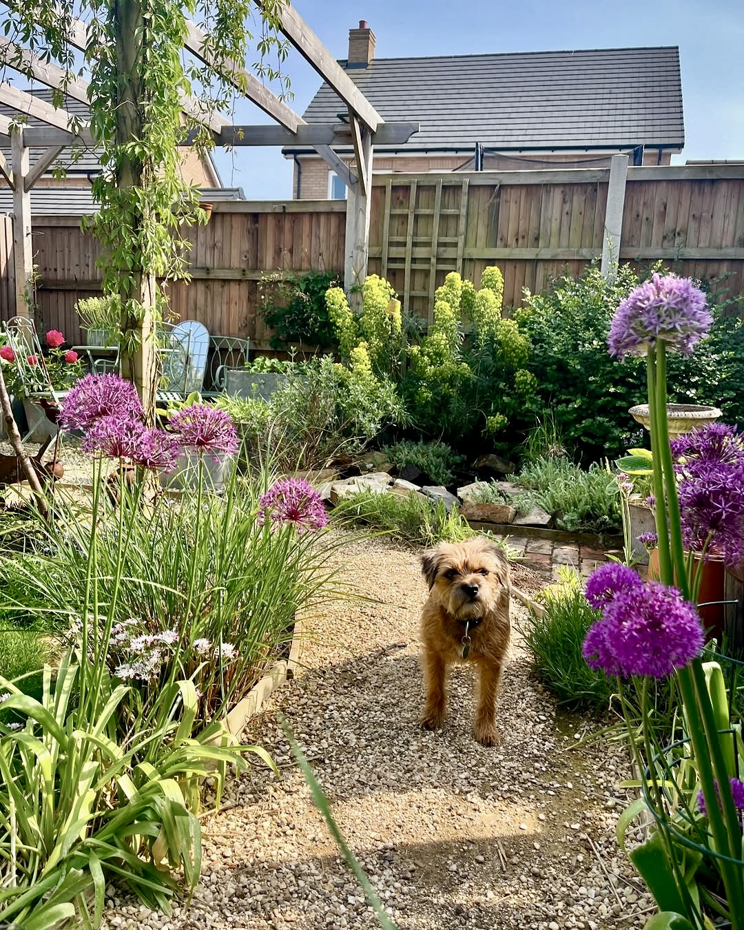 25 Garden Ideas 2025 That Transform Small Spaces into Beautiful Outdoor ...