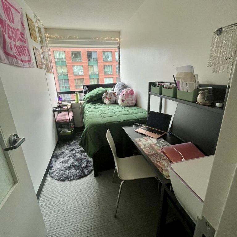 35 Dorm Room Inspiration 2025 Ideas That Redefine College Aesthetic and ...