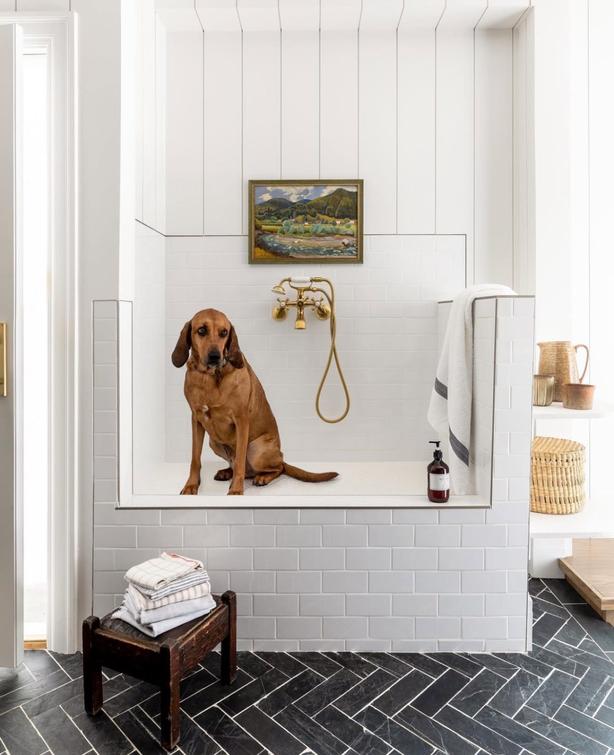 30 Dog Washing Station in Laundry Room Designs with Raised Tubs, Stairs ...