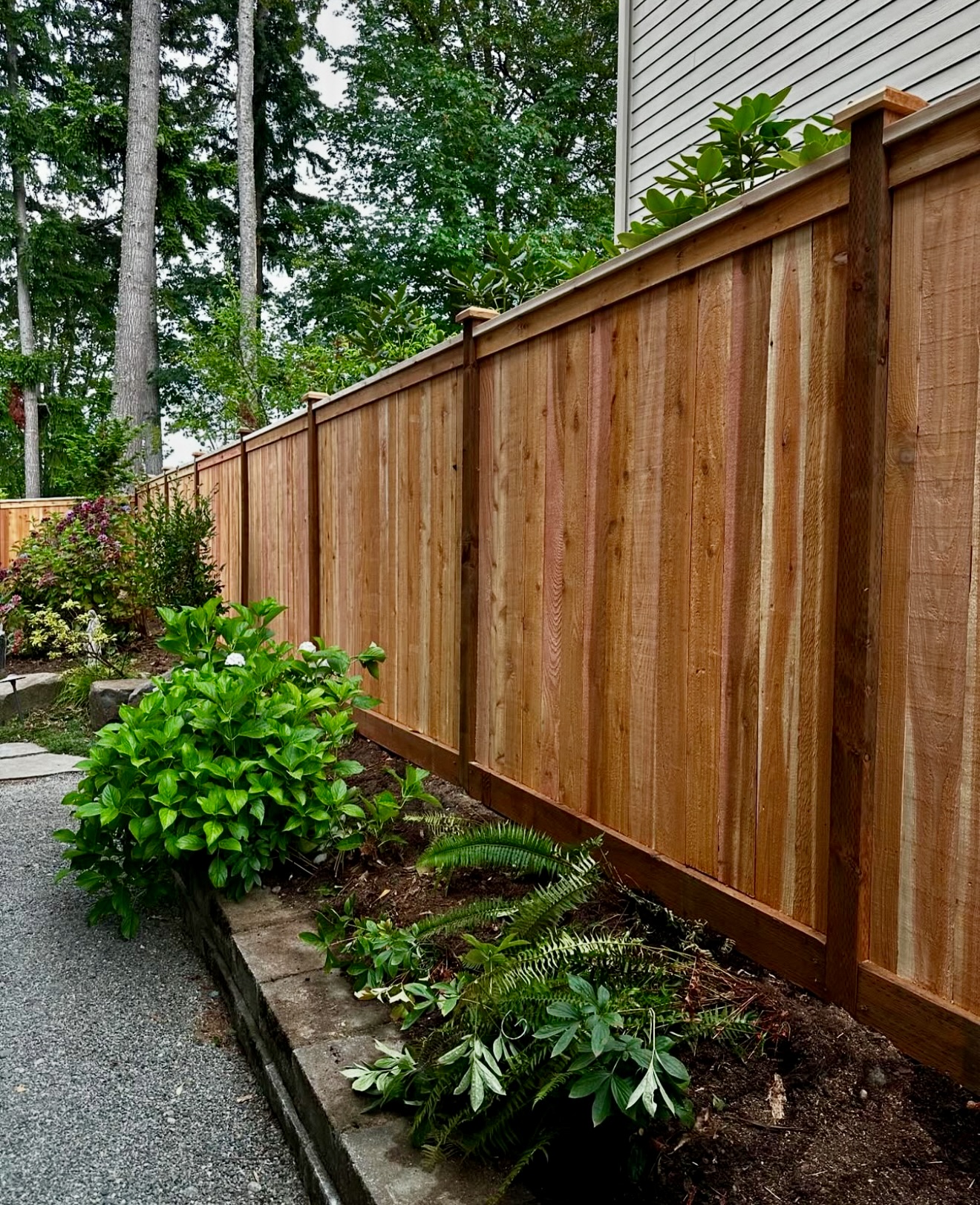 30 Privacy Fence Ideas That Blend Style, Security and Budget-Friendly ...