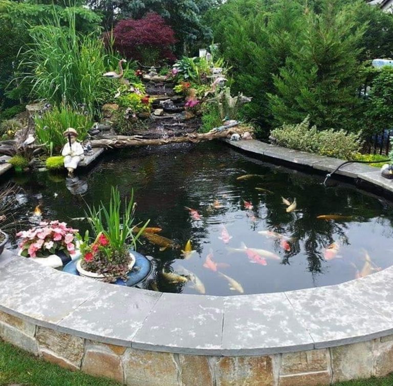 30 Pond Ideas to Transform Your Garden into a Relaxing and Aesthetic Outdoor Oasis - placeideal.com