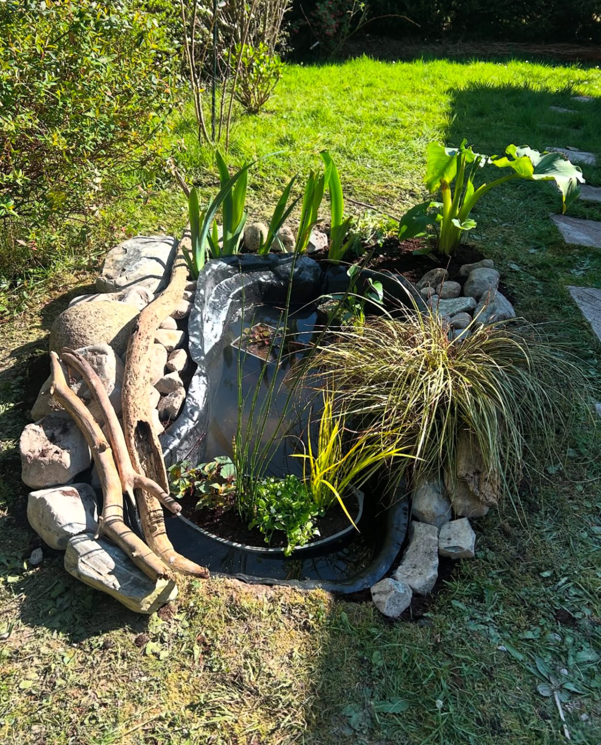 30 Pond Ideas to Transform Your Garden into a Relaxing and Aesthetic ...