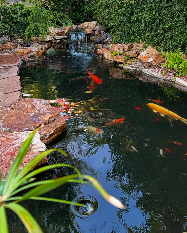 30 Pond Ideas 2026: Stunning Backyard and Garden Designs to Inspire ...