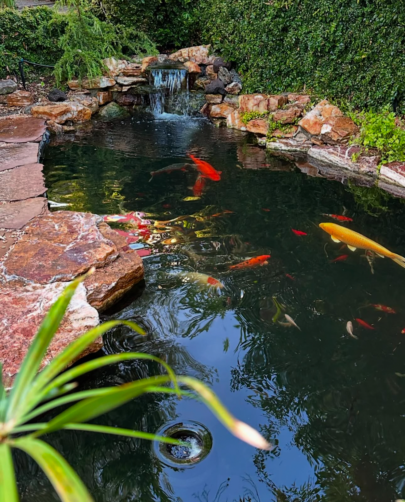 30 Pond Ideas 2026: Stunning Backyard and Garden Designs to Inspire ...