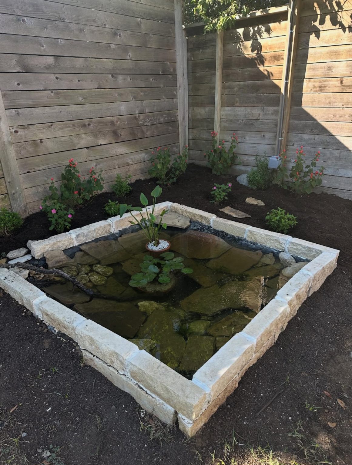 30 Pond Ideas 2026: Stunning Backyard and Garden Designs to Inspire ...