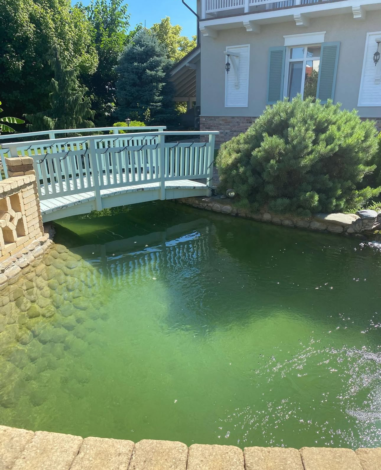 30 Pond Ideas 2026: Stunning Backyard and Garden Designs to Inspire ...