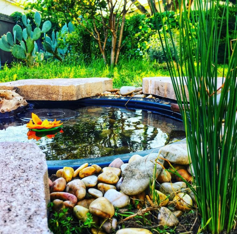 30 Pond Ideas 2026: Stunning Backyard and Garden Designs to Inspire ...