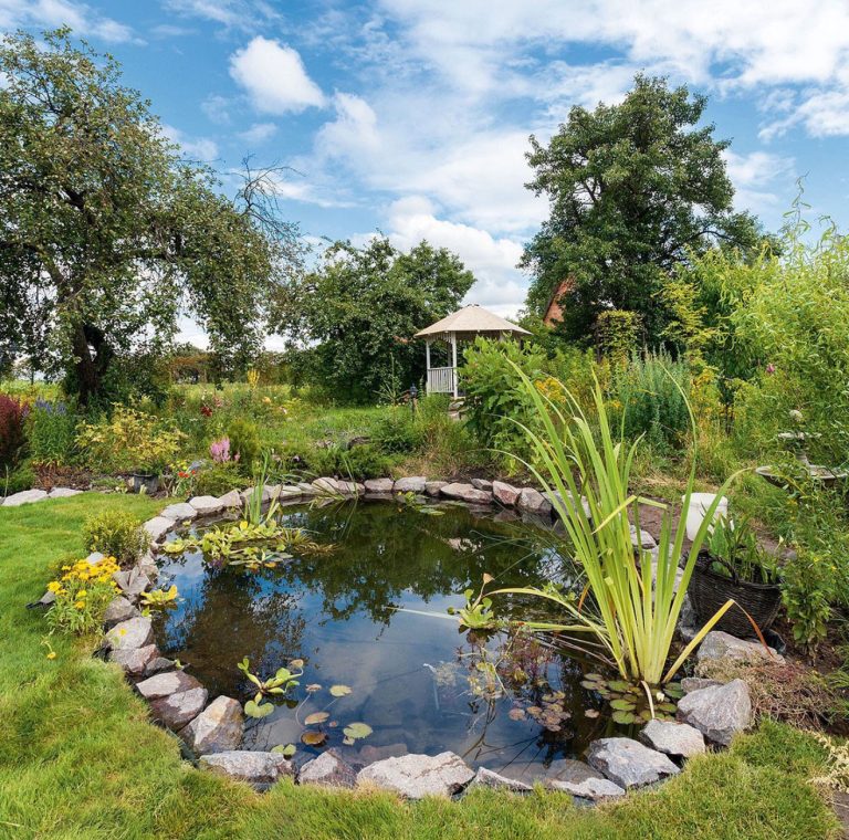 30 Pond Ideas 2026: Stunning Backyard and Garden Designs to Inspire ...