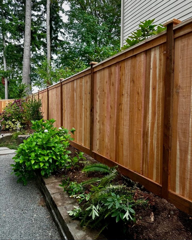 30 Privacy Fence Ideas for 2026: Stylish, Modern, and Budget-Friendly ...