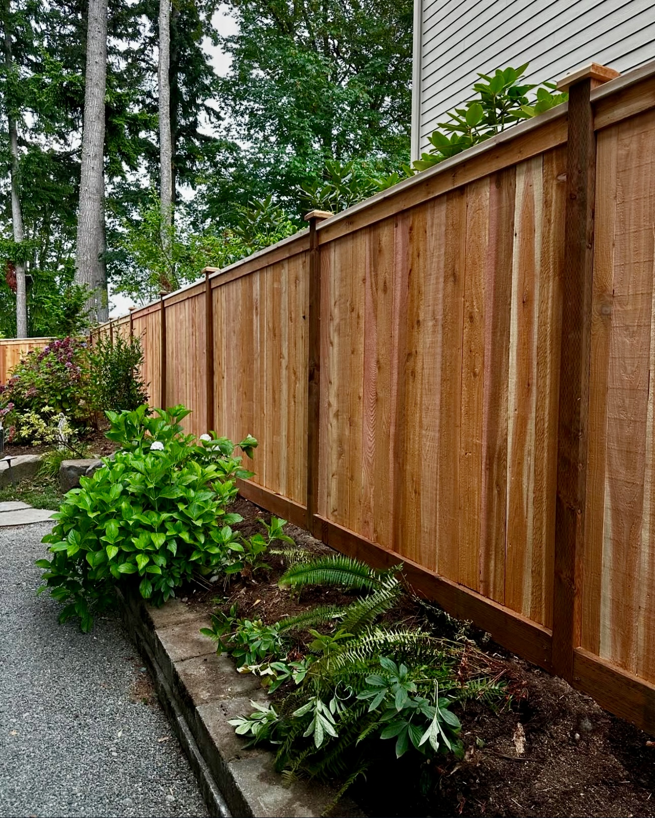 30 Privacy Fence Ideas for 2026: Stylish, Modern, and Budget-Friendly ...