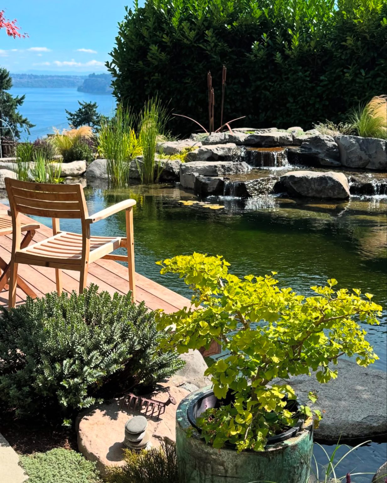 30 Pond Ideas 2026: Stunning Backyard and Garden Designs to Inspire ...