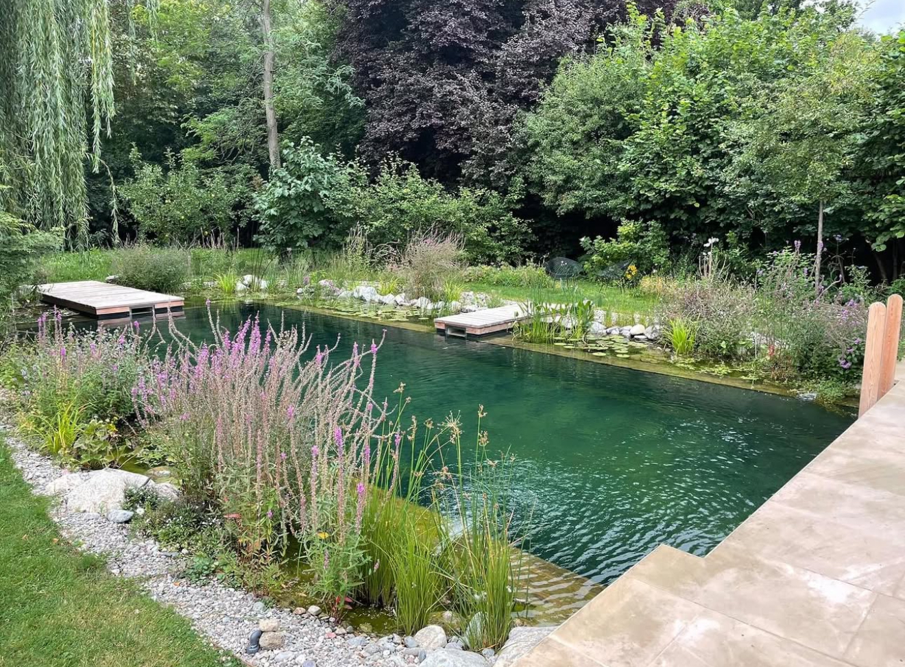 30 Pond Ideas 2026: Stunning Backyard and Garden Designs to Inspire ...
